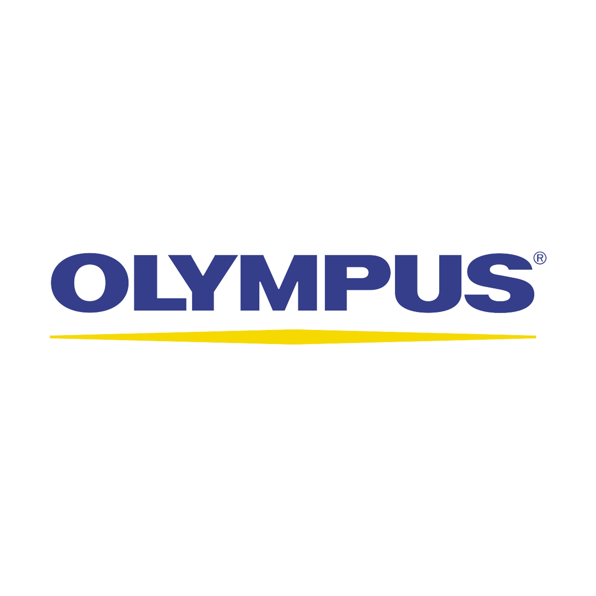 Olympus Cysto Bridges – Endoscopy Superstore