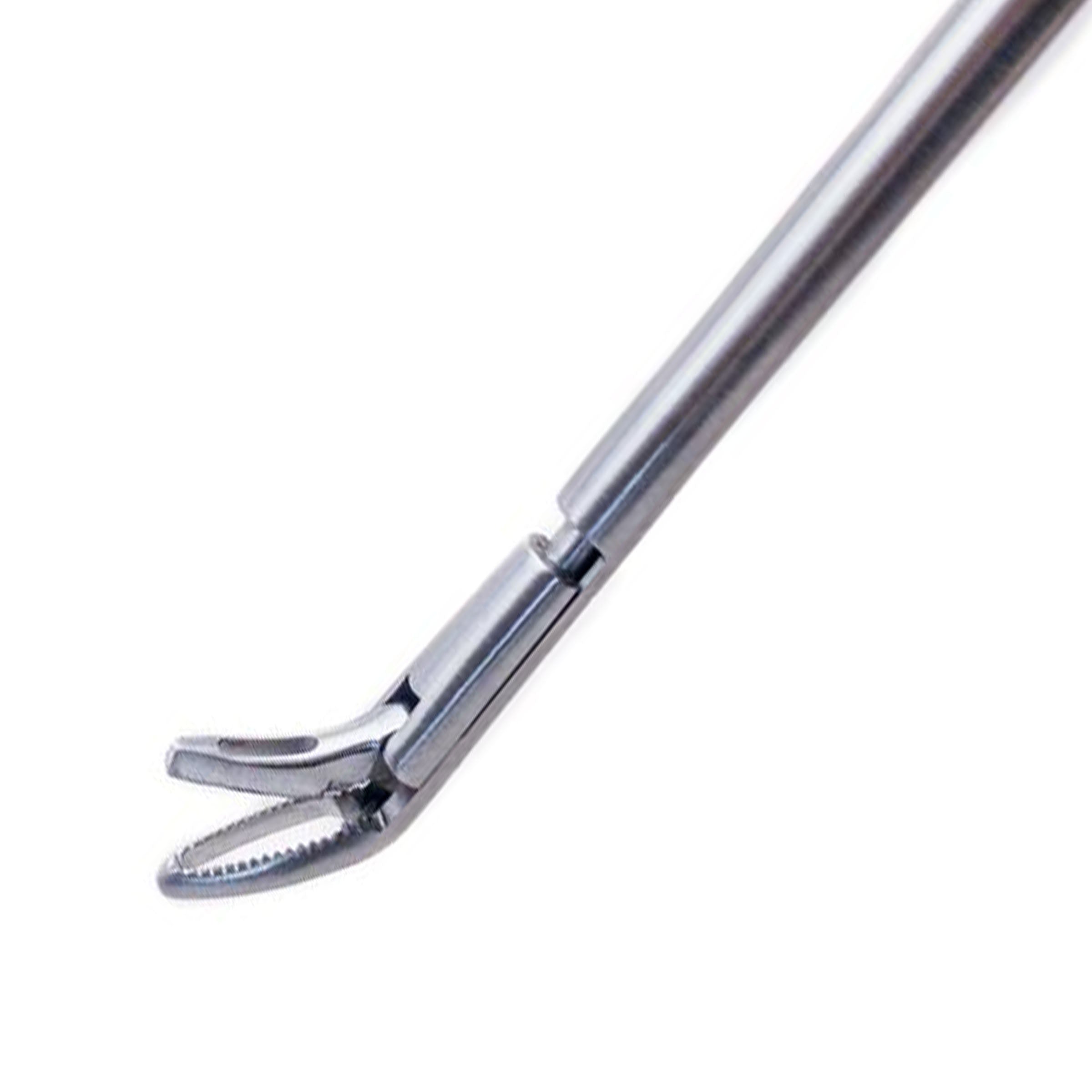 AED Thru Bite Blakesley Forceps, Size 00, 45º, 3.5mm Cut Width | 501.7 ...